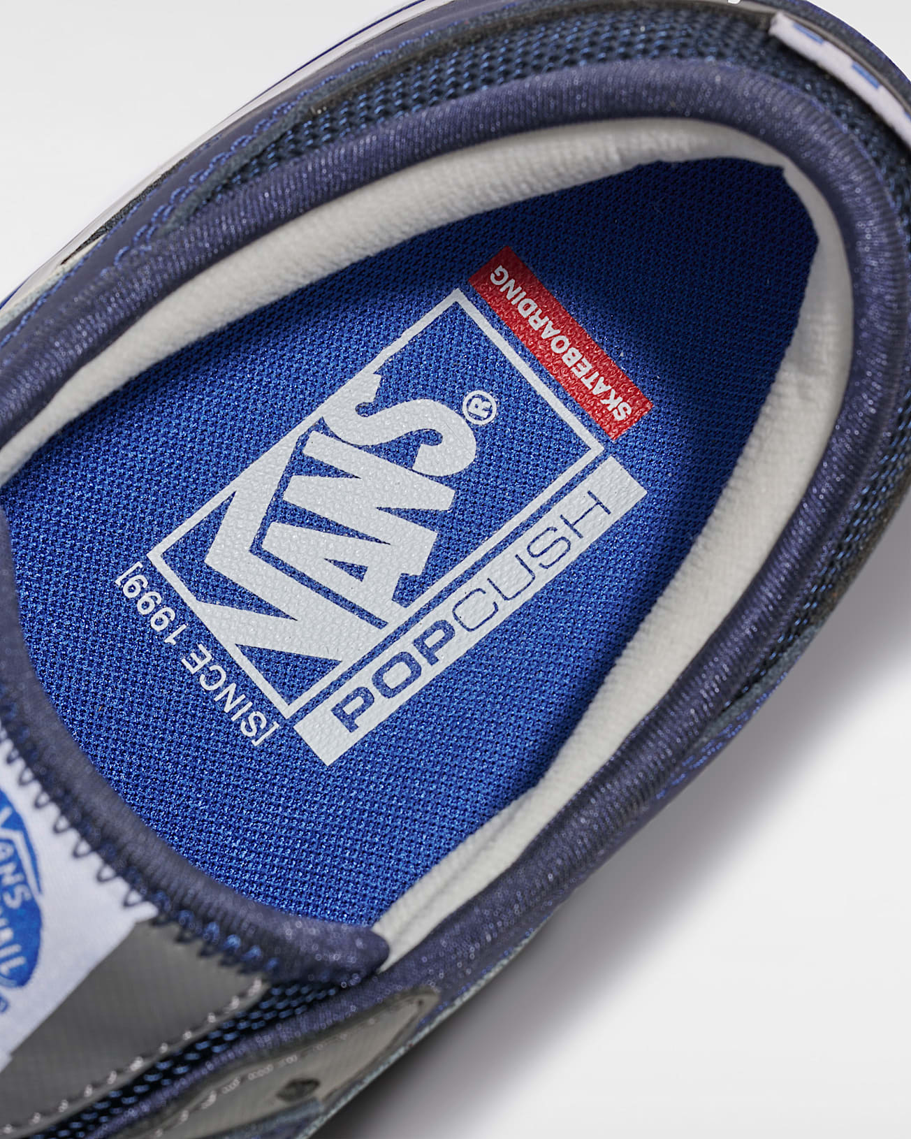 Chaussures Skate Rowley en Bleu| Vans FR