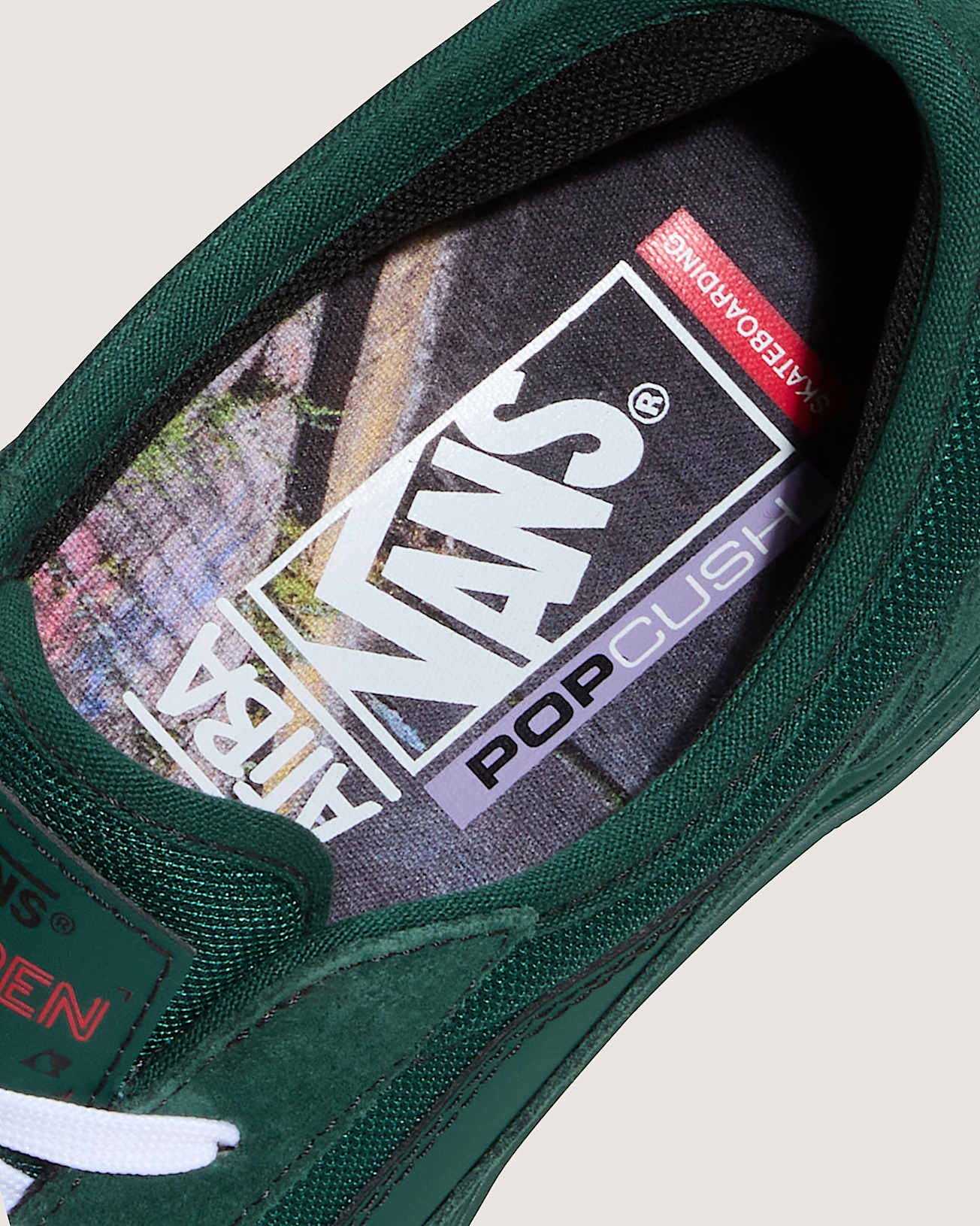Skate Curren Caples Shoes in Green| Vans UK