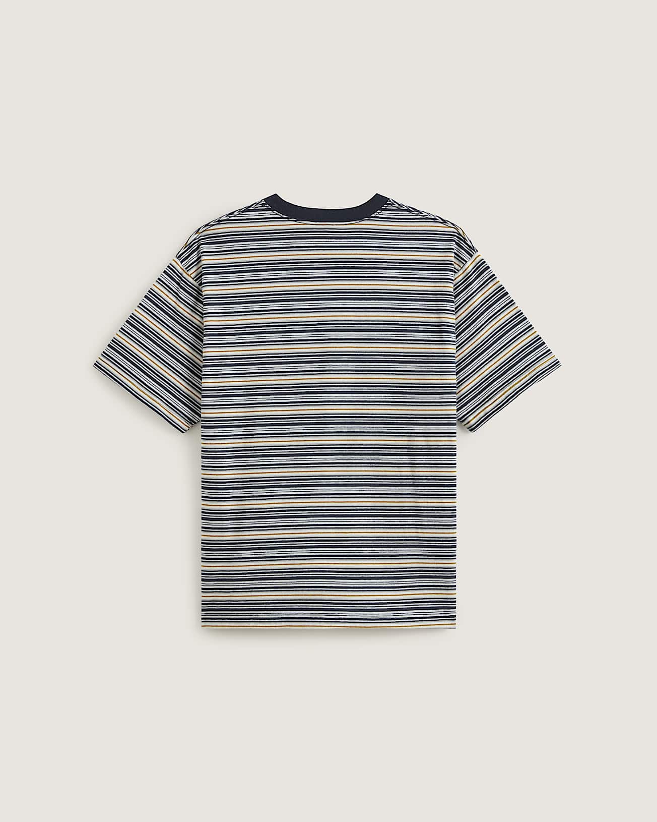 Cameron Stripe T-Shirt in White| Vans SE